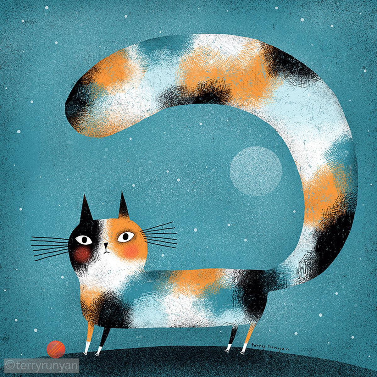 CALICO DISPLAY Canvas Print – Terry Runyan Creative